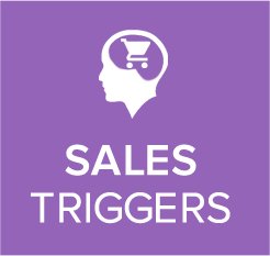 Premium WooCommerce Plugins For Ambitious Store Owners